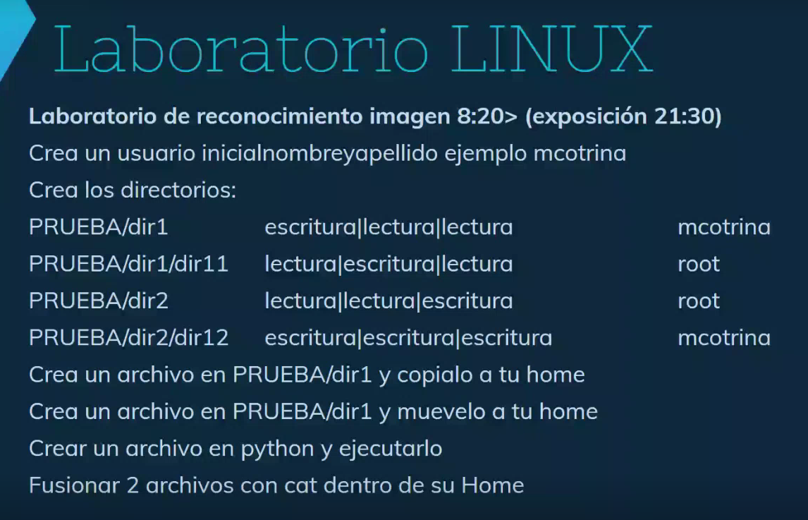 TAREA 1: MYSQL - Monica Velasquez - Medium