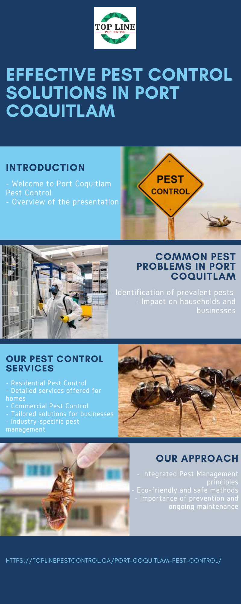 All About Port Coquitlam Pest Control - Top Line Pest Control - Medium