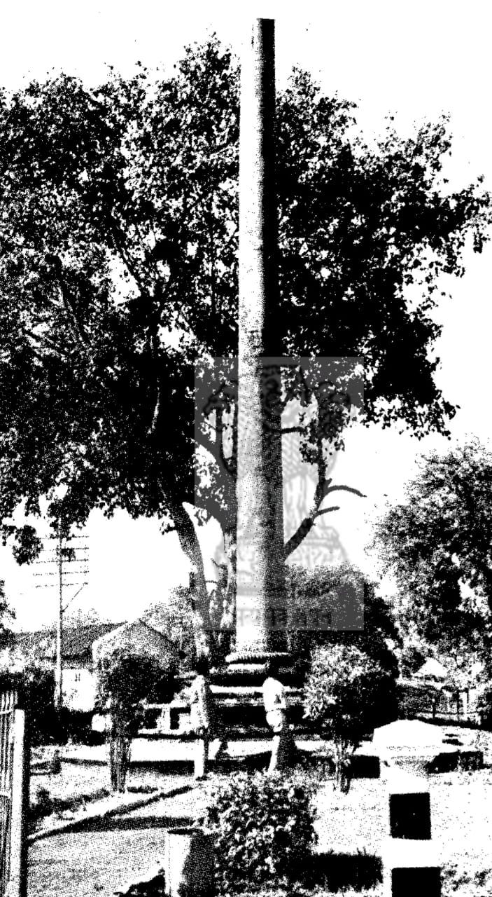Allahabad During the Lives of Kumarila Bhatta, Adi Shankaracharya, and ...