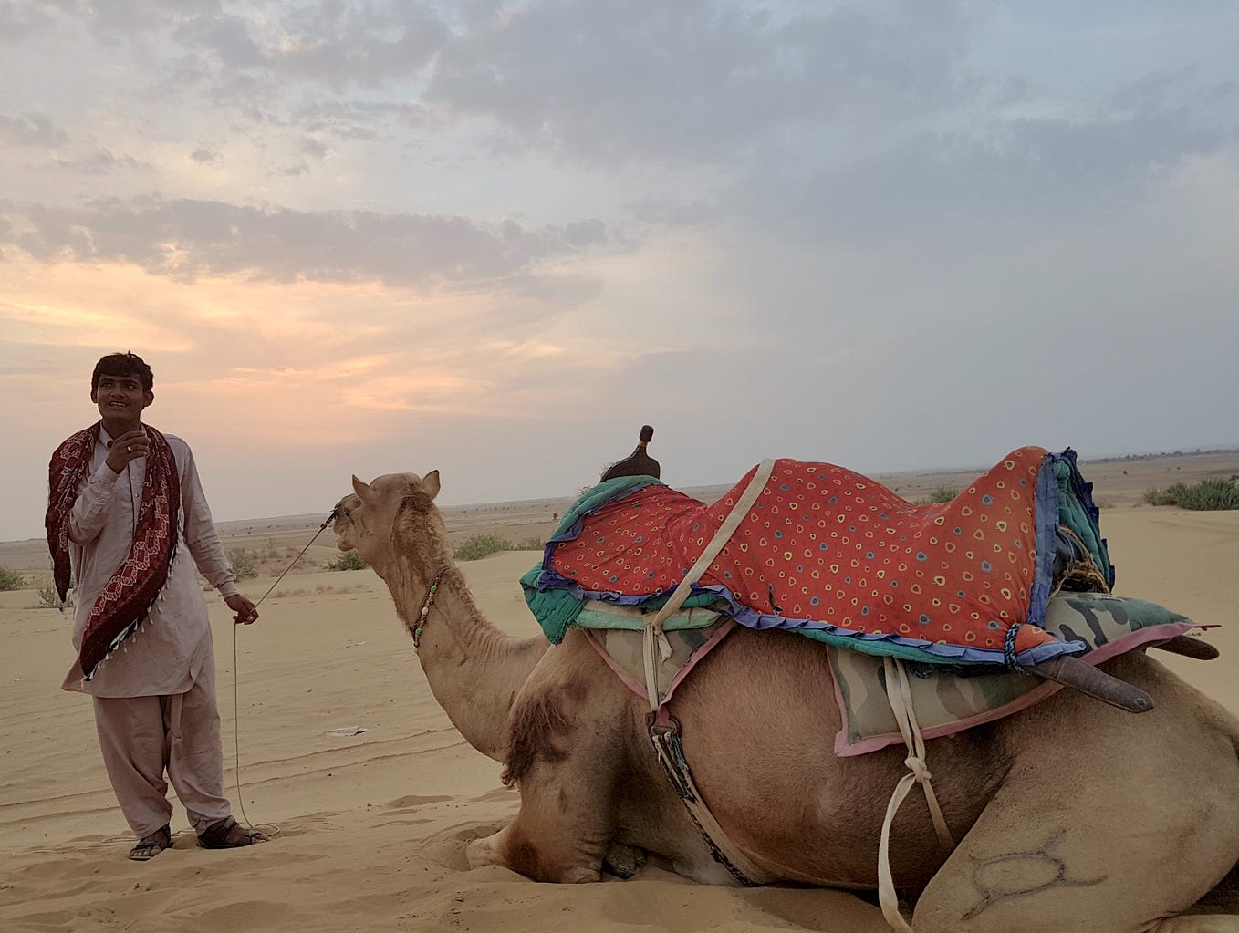 A Complete Travel Guide to Rajasthan: Explore the Land of Kings with ...