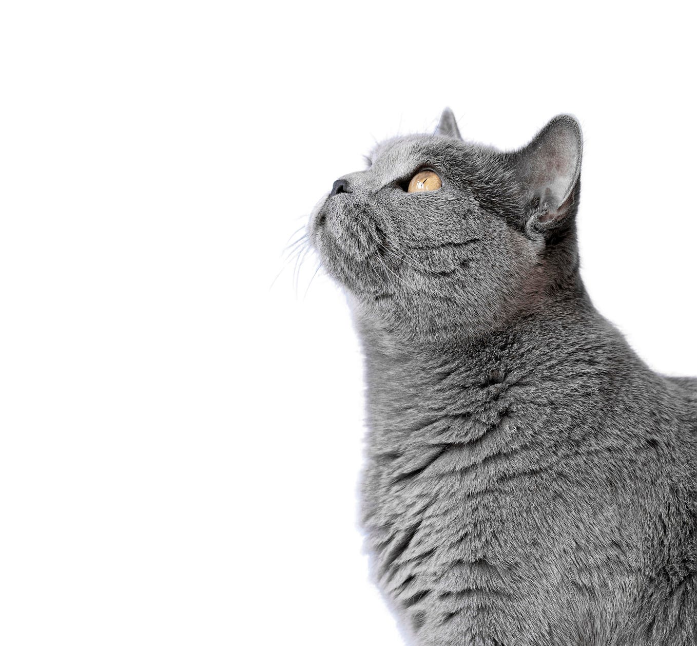 Handwritten Digit Recognition With Tensorflow And Opencv By Hashini Ranaweera Medium