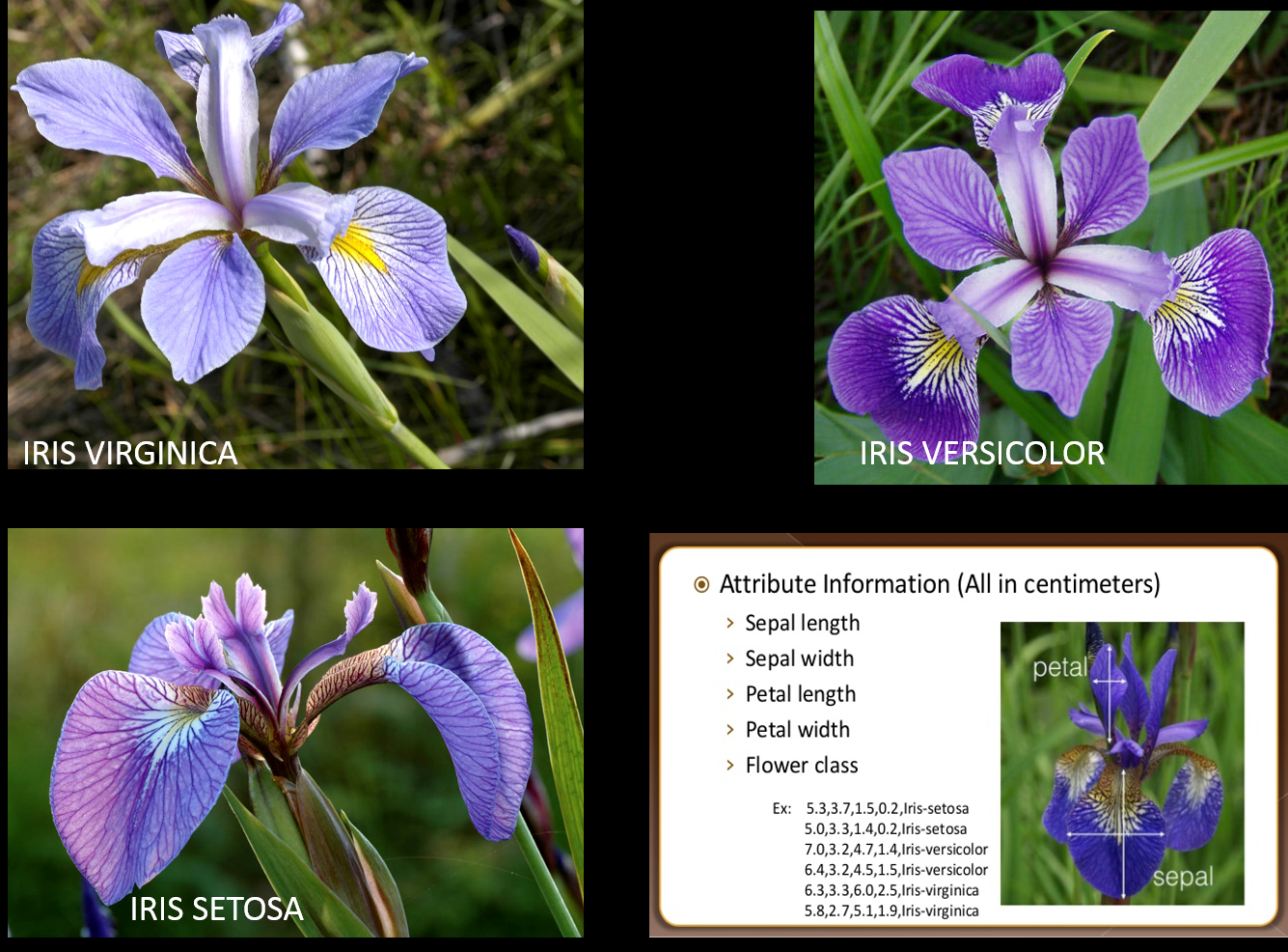 Making VR game performant for Meta Quest Platform! | by pranav suresh | Medium