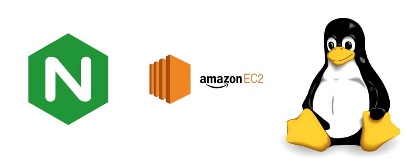 Configure Nginx As A Web Server And Reverse Proxy For Nodejs Application On Aws Ubuntu 1604