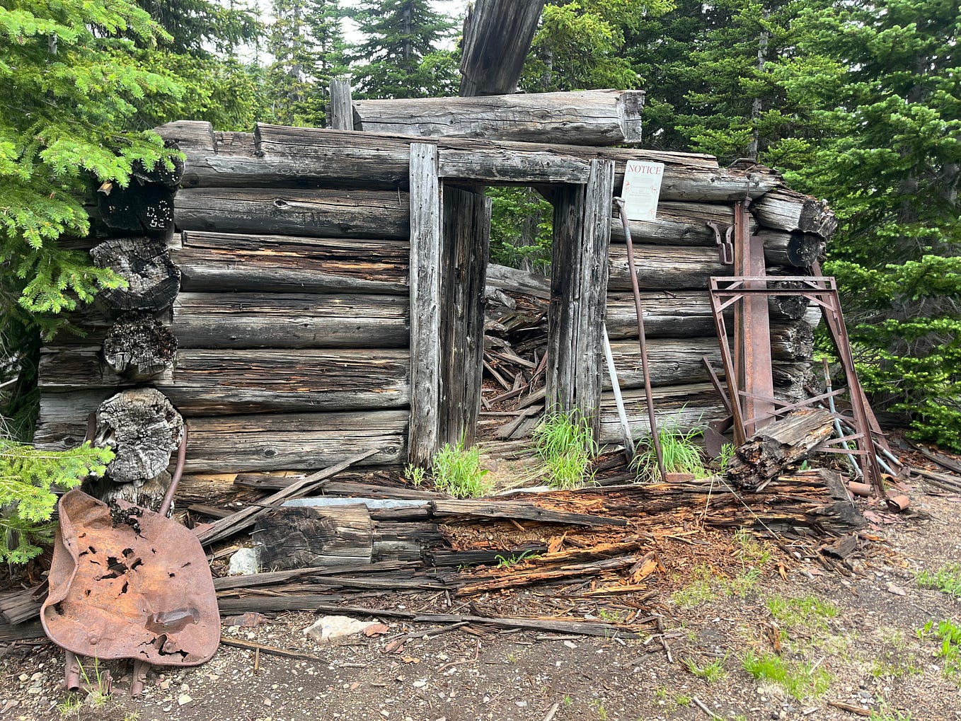 Stephanie Thomas, Connecticut Secretary of State, details her ascension ...