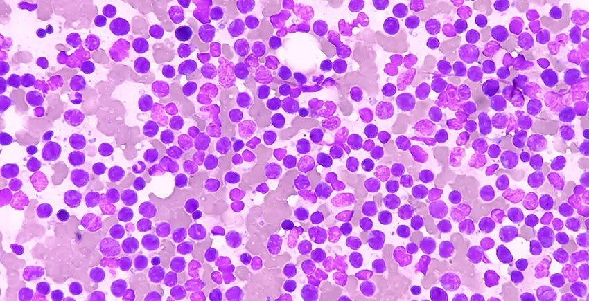 Vision Langauge Models (VLM) in Medicine: A Review | by Abdulkader ...