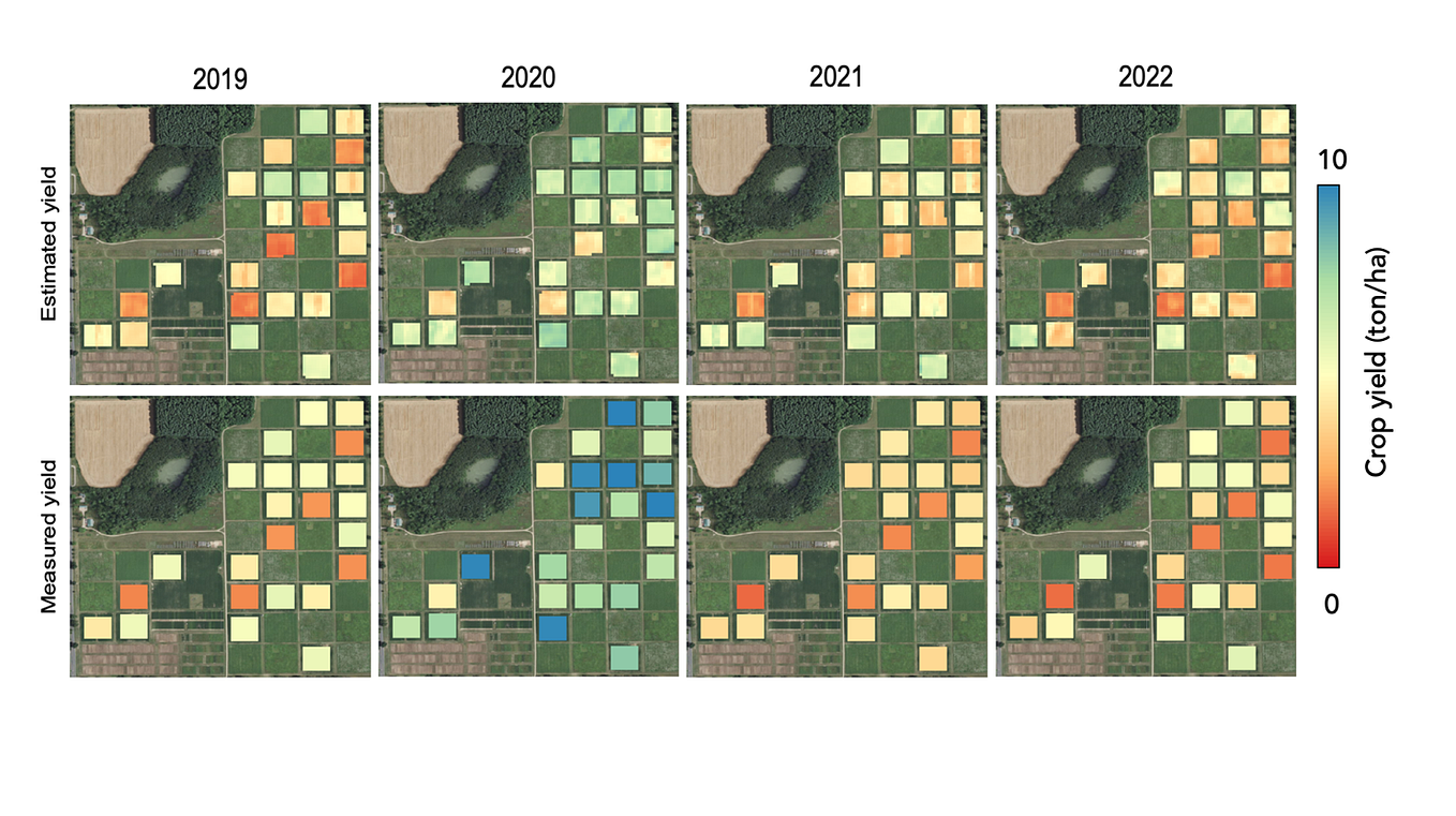 PoC: Monitoring of oak wilt disease from satellite imagery | by ...