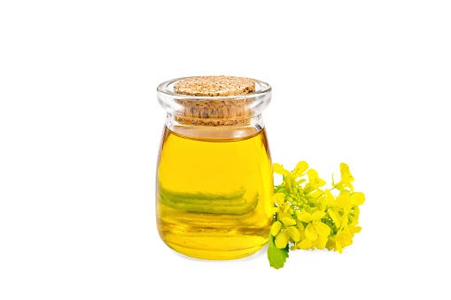 Mustard Oil Processing: From Seed to Bottle - Nayesha Mills - Medium