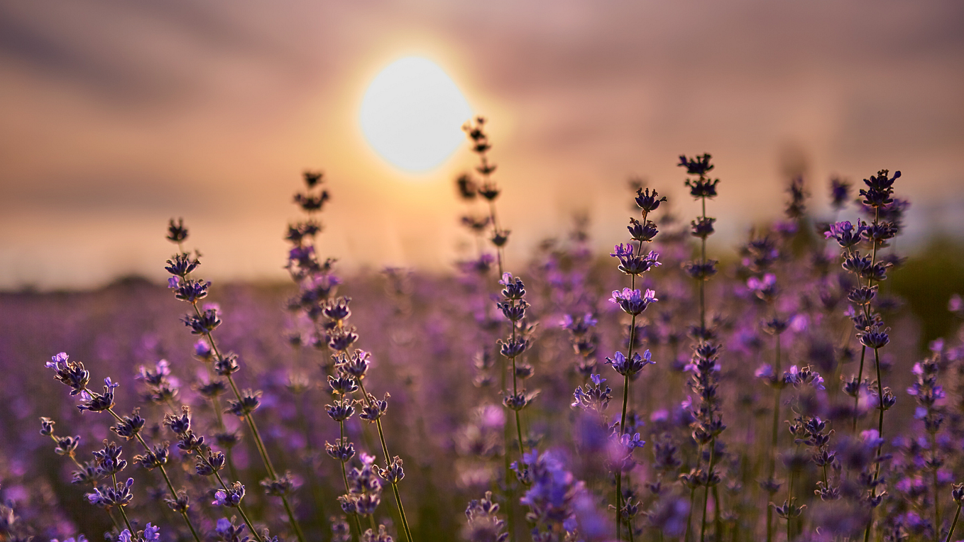 Chaotic Life: How To Find Inner Peace (4 Tips) | by KD Gates ...