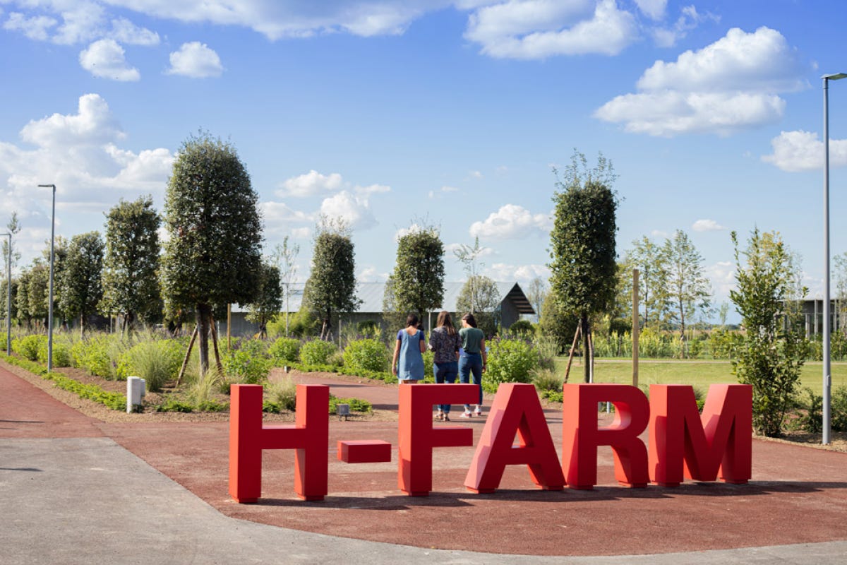 Article #3: Embracing the Journey: An International Student’s ...
