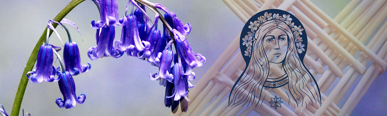 My ‘goal setting’ withdrawals; choosing curiosity while emigrating | by ...