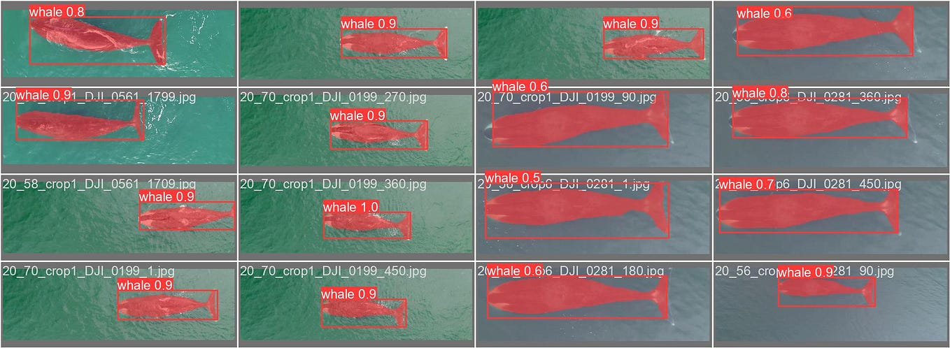 Interactive Segmentation With Ritm Algorithm Part 1 Sbd Dataset By