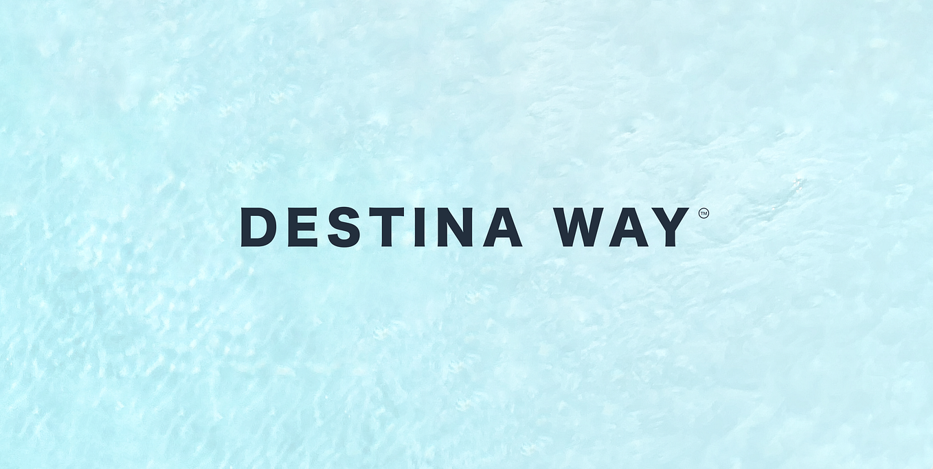 New Logo, Who This?. Meet the New Destina Logo | by DESTINA WAY | Medium