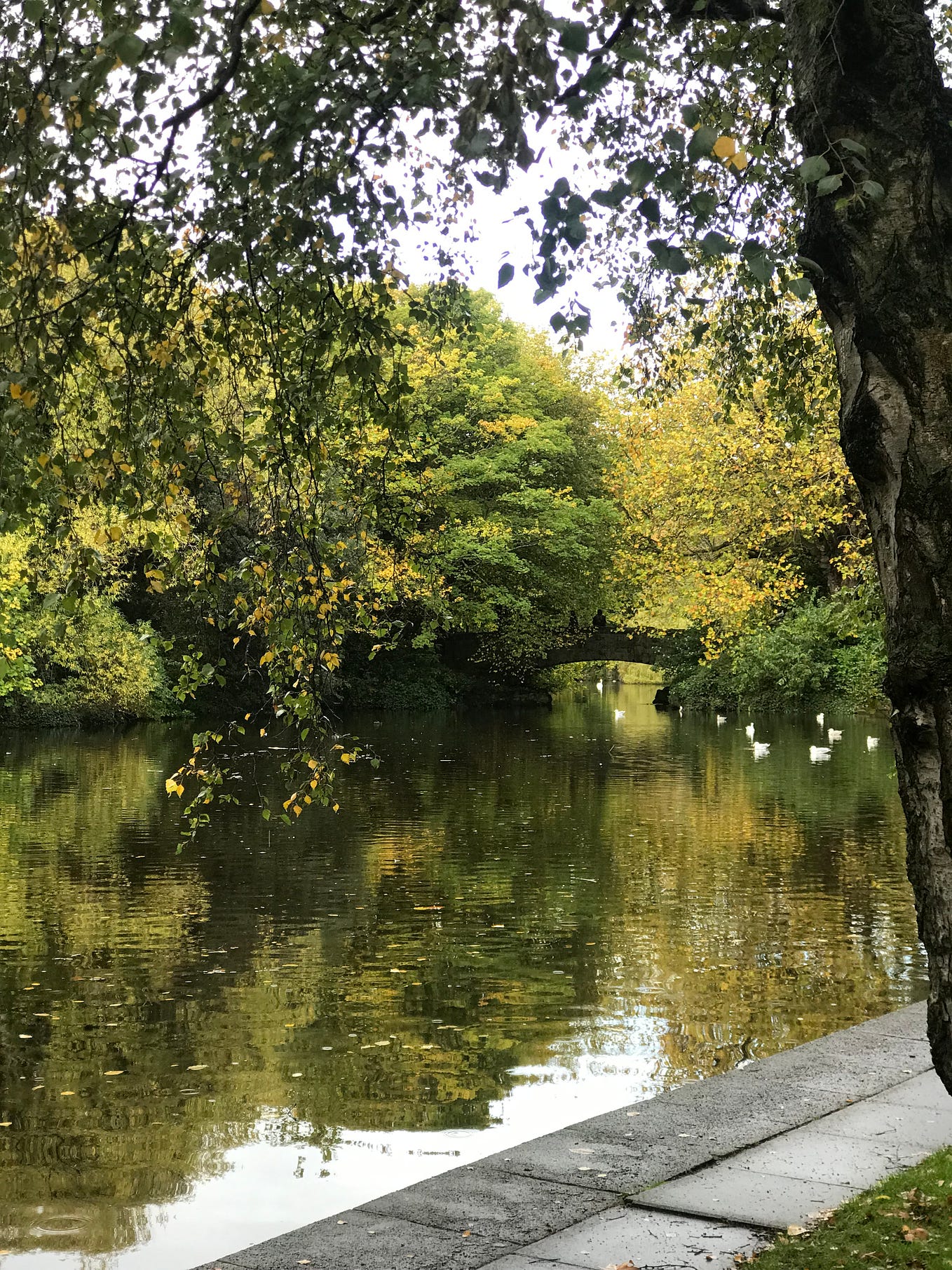 Evolution of Google maps and its Traffic detection | by Vignesh Elangovan | Level Up Coding