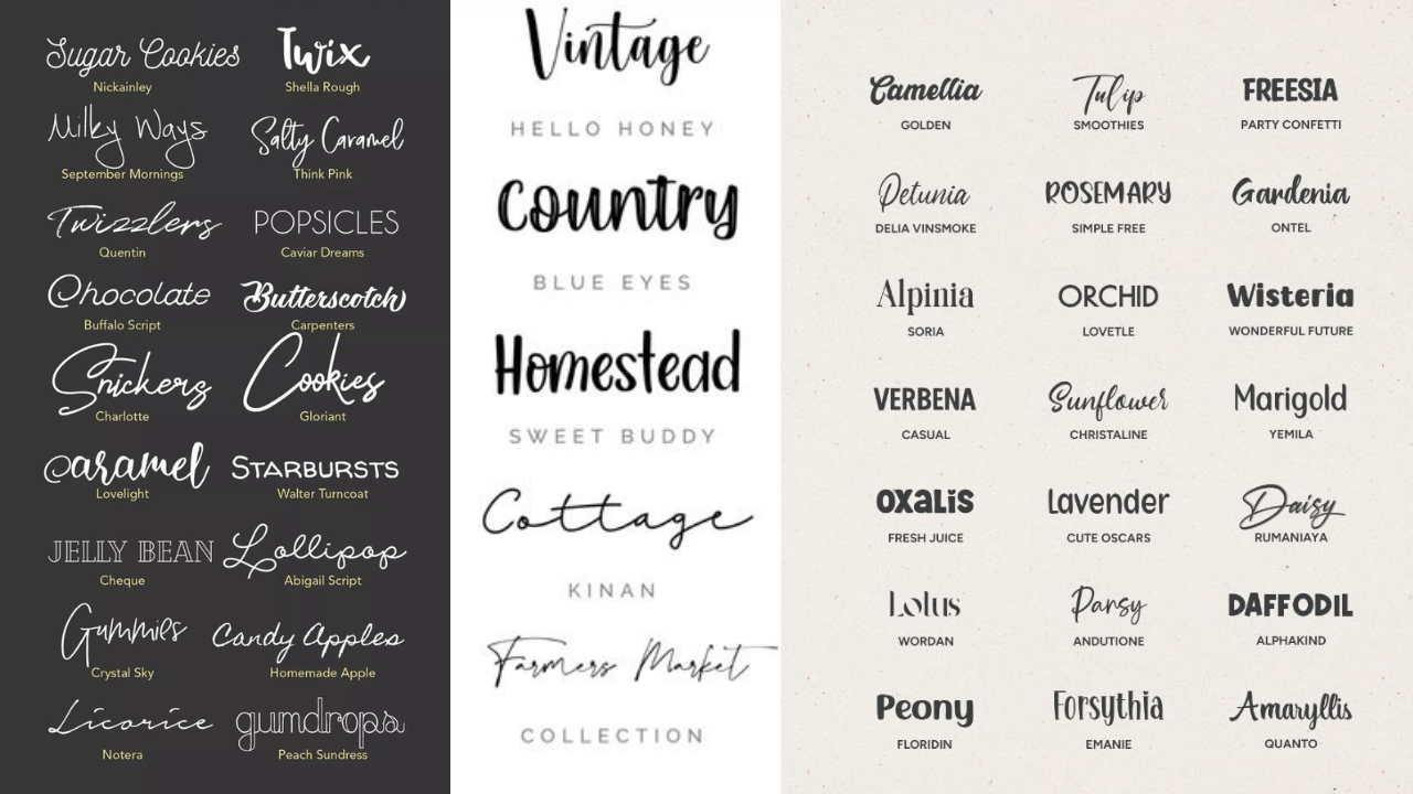 Best free fonts. Download Free Fonts — View selection… | by MasterGid ...