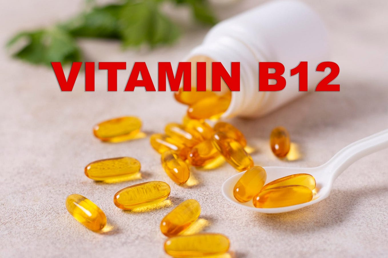 Unveiling the Power of WellHealthOrganic Vitamin B12 for Optimal ...