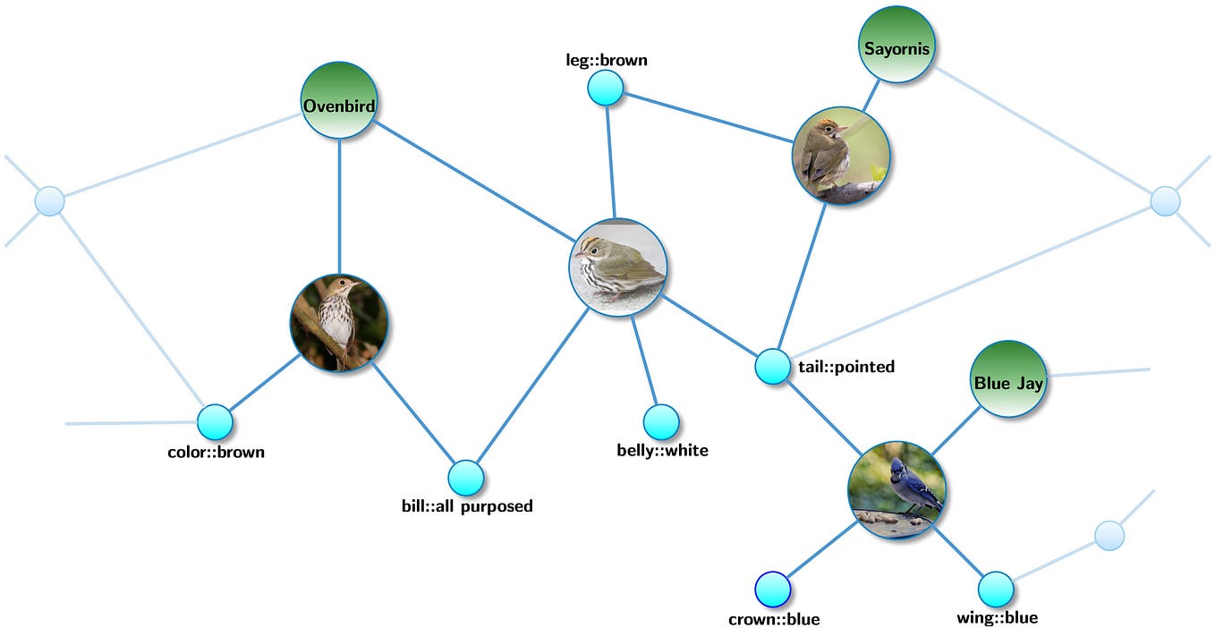 How to Plot Rose and Dahlia Flower with Python | by Mohammad Aryayi ...