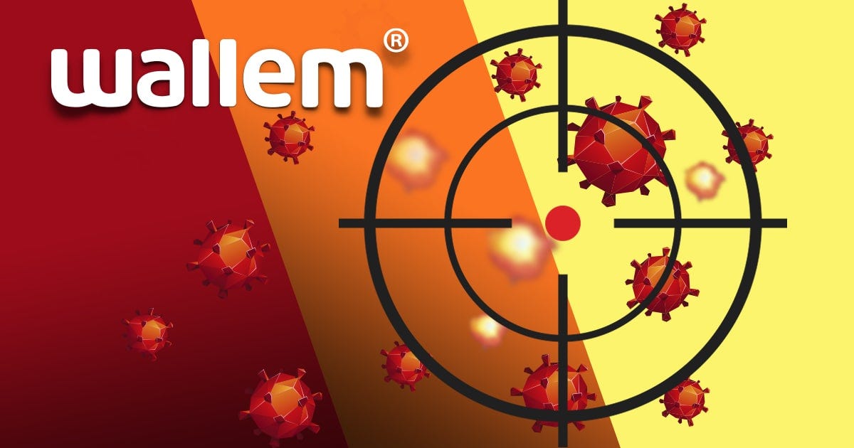 Wallem AMA Recap. Q: What about wallem server. Its fine… | by Wallem ...
