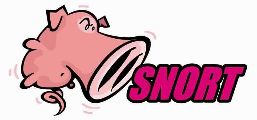 Tryhackme Snort — Task 4 First Interaction With Snort Task 5 Operation Mode 1 Sniffer Mode