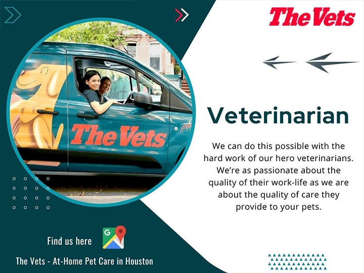 Contact Us - The Vets - At-Home Pet Care - Medium