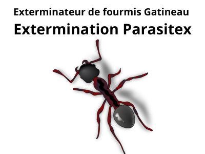 Exterminateur de punaises de lit | Extermination Parasitex ...