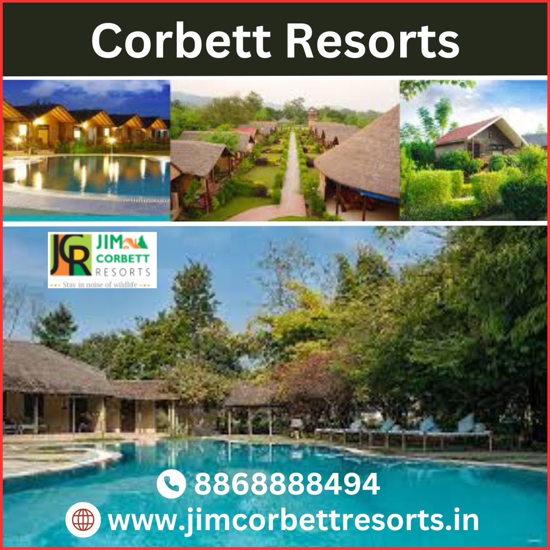 Wilderness Grace — Exploring Jim Corbett Resorts - Jim Corbett Resorts - Medium