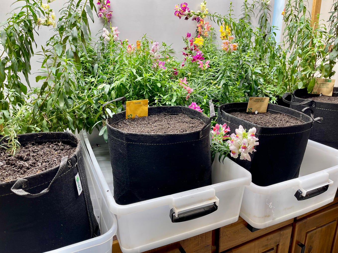 10 Genius Ways To Transform Your Code With Lambda Functions By Tkdev Dec 2024 Medium