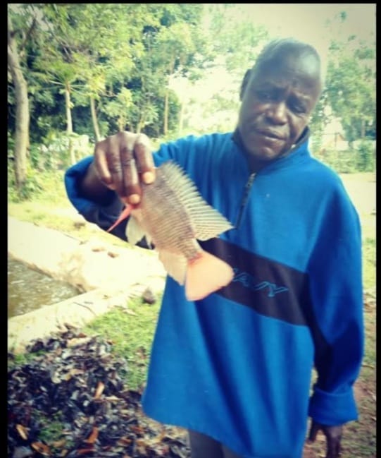 4 Elaborate Burial Rites The Luhya and Luo Perform When You Commit ...
