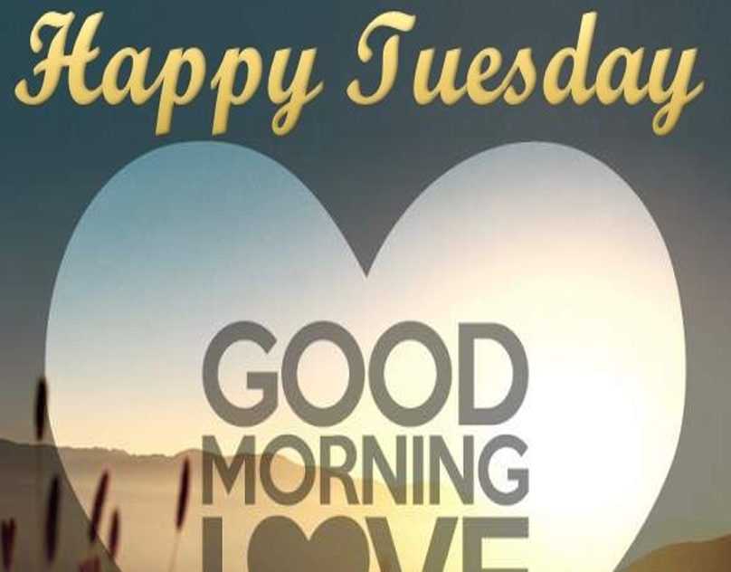 50 Happy Tuesday Quotes To Share. We have created quotes for happy ...