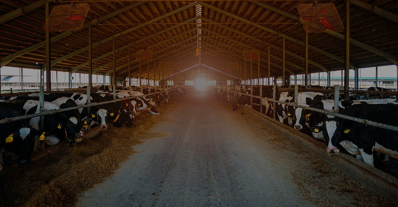 How Farmers Can Use Farmers Hub App to Promote Their Livestock for Sale | by James Joyce | Feb ...