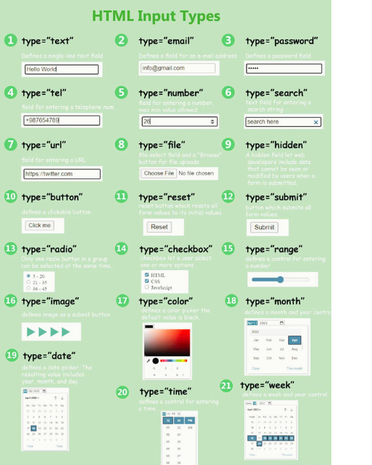 Understanding the Magic of auto in HTML & CSS | by Bahunya Rachakonda | Medium