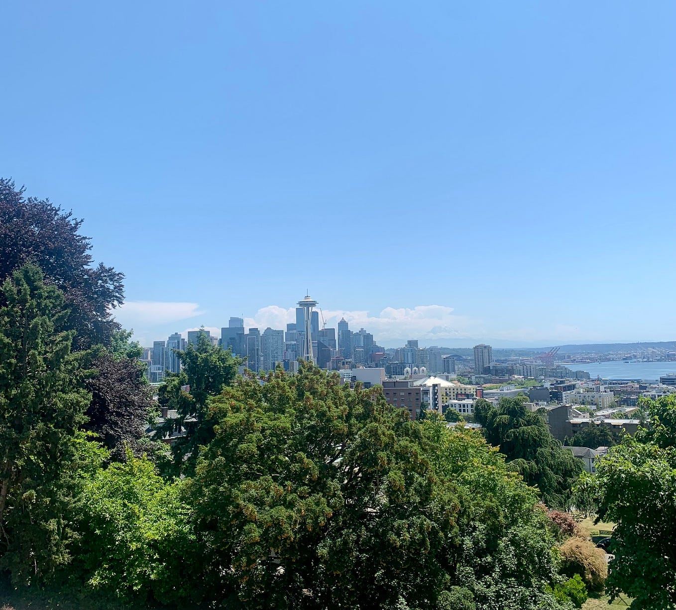 Seattle Chronicles: Week 1 @ Microsoft | by Mostaphe | Medium