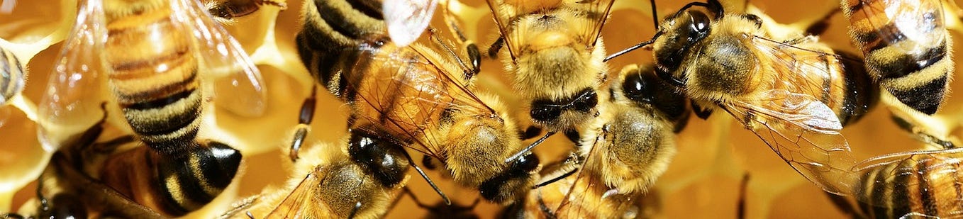 7. Visualization In Music Education | by Andrew Douglas Hope ...