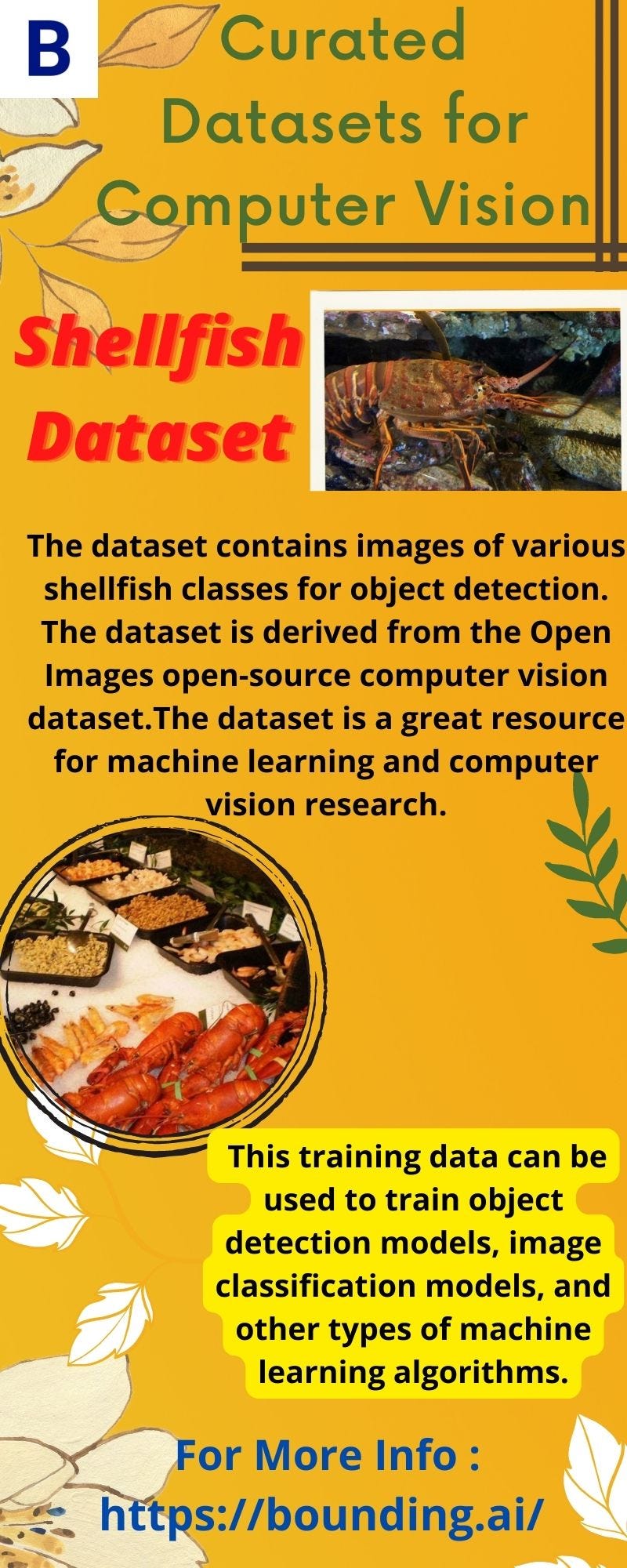 Curated Datasets for Computer Vision - Bounding. ai - Medium