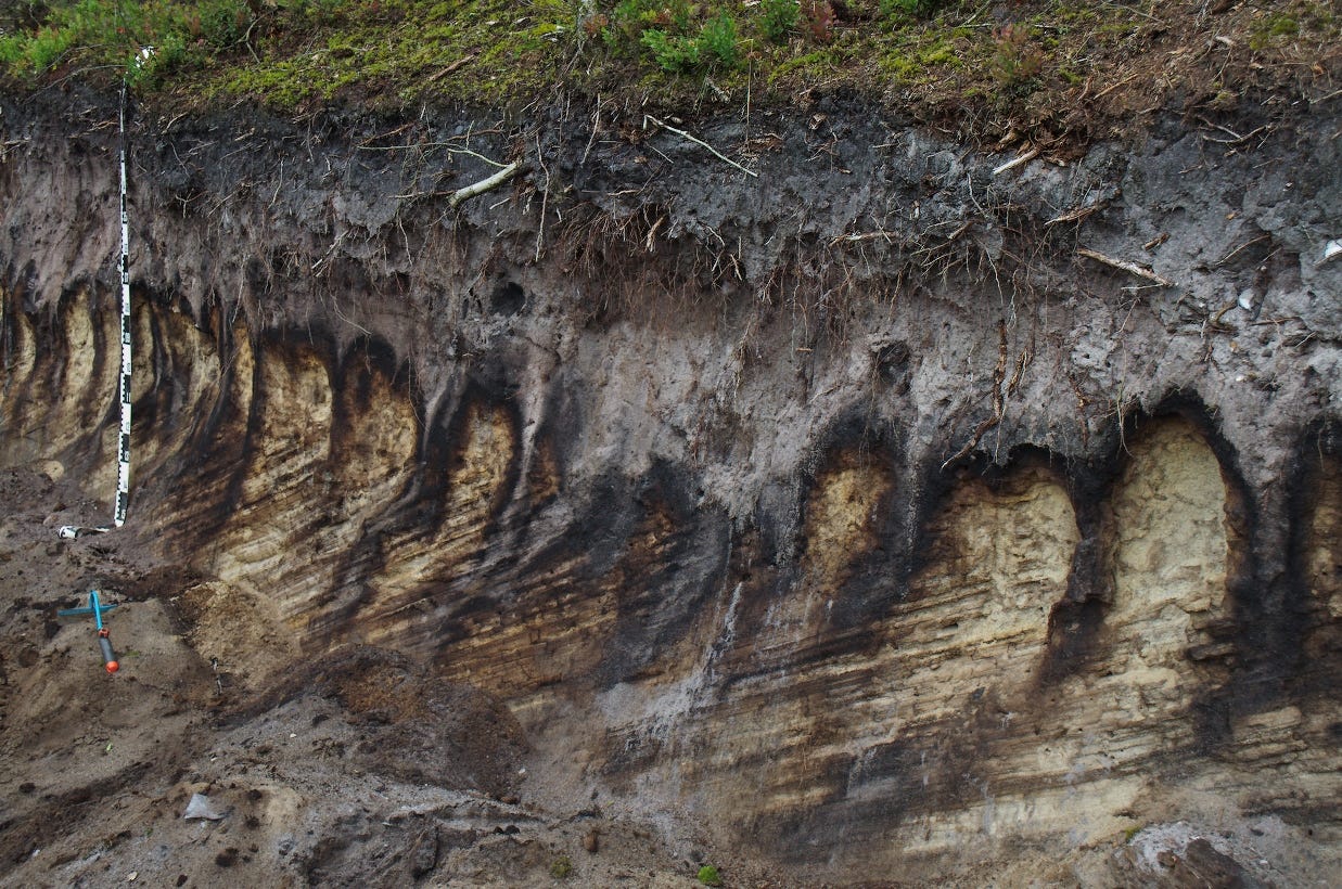 Explaining a CNN generated soil map with SHAP | by José Padarian | TDS ...