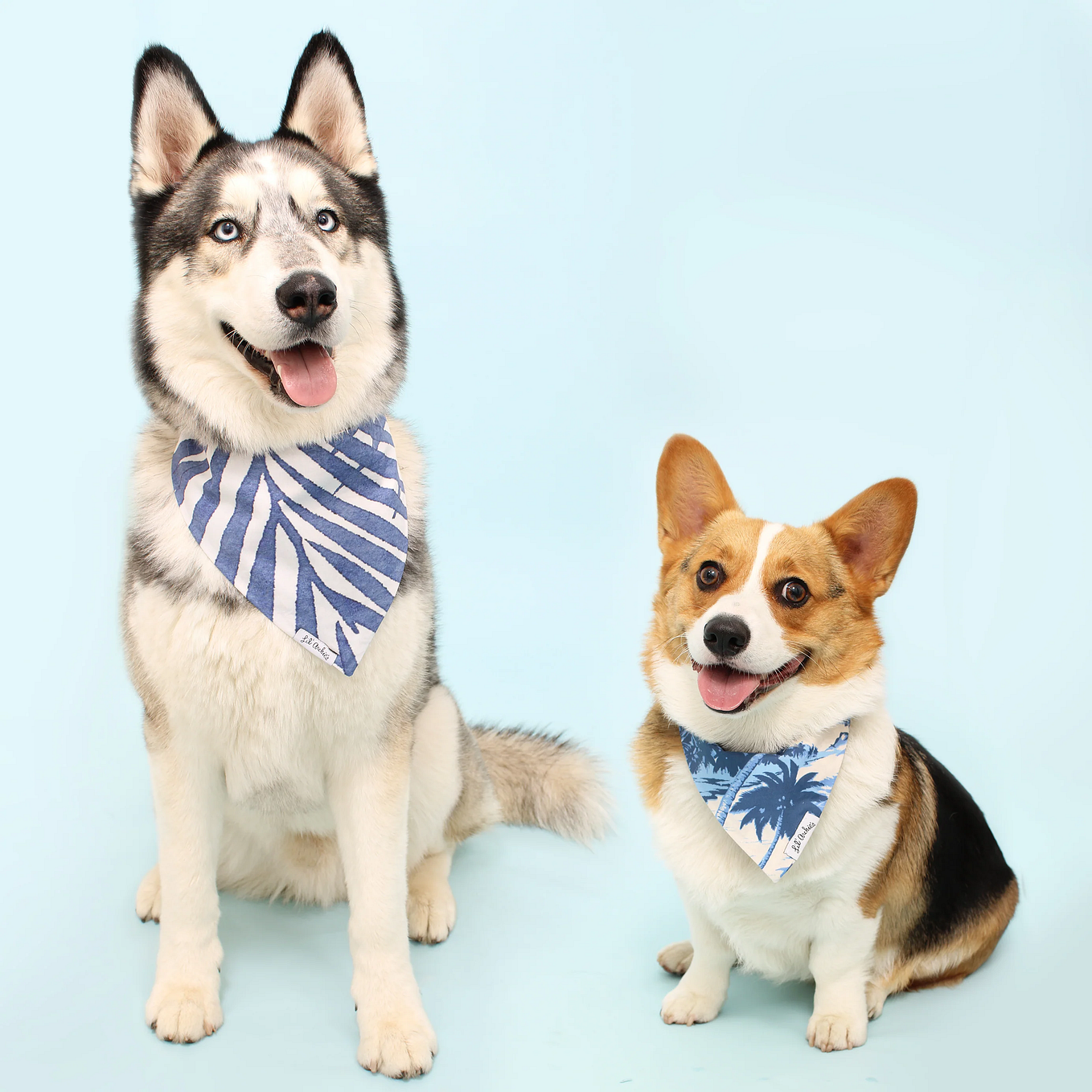 How Dog Poop Bags with Dispenser Can Simplify Your Walks | by Lil ...