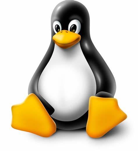 Tryhackme — Linux Fundamentals Part 1 — Walkthrough By Nayanjyoti Kumar Medium