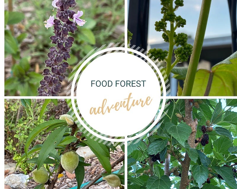 Nice article with helpful tips. Nearly 3 years ago I started a backyard ...