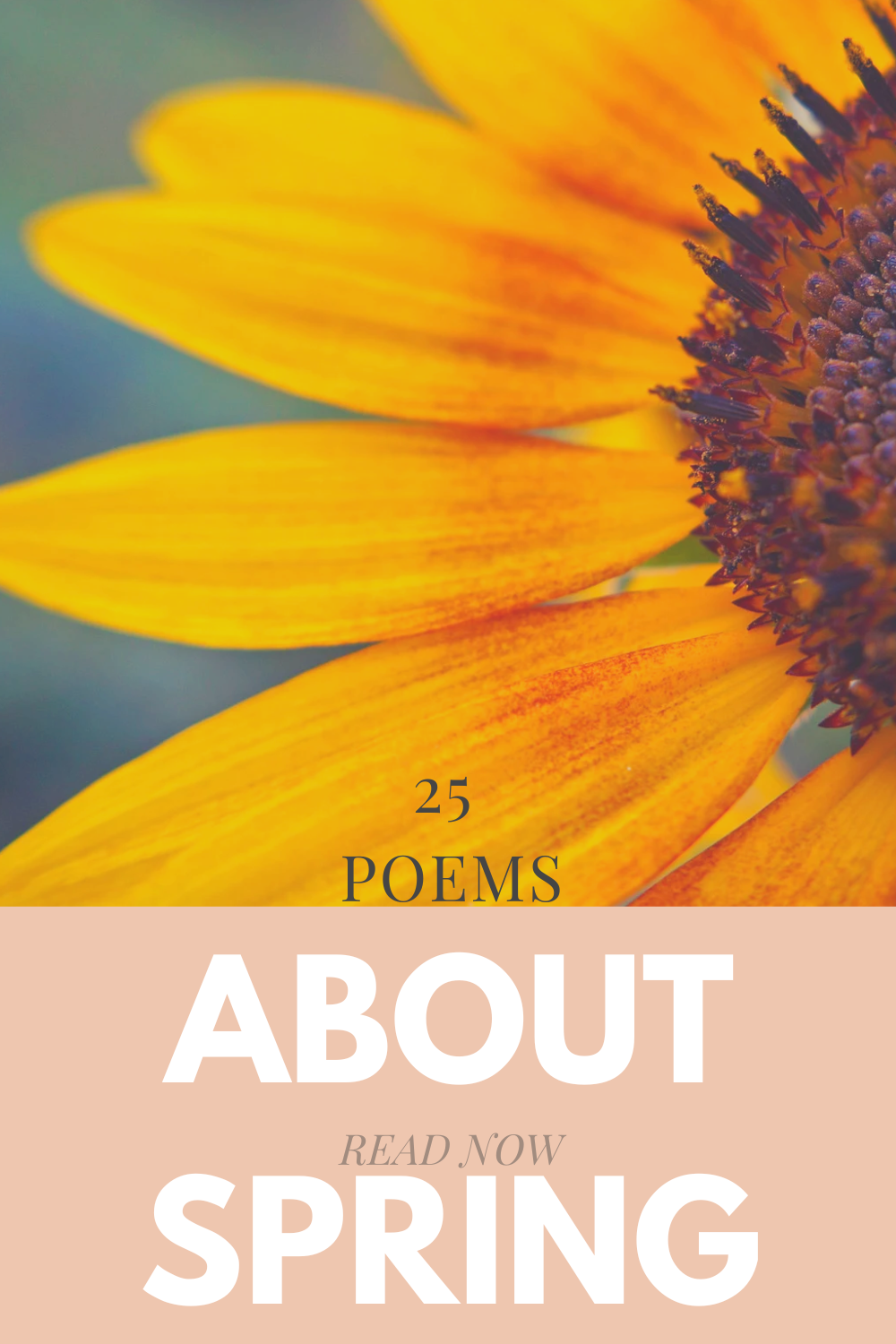 18 Poems About Spring for Kids. Spring poems for kids capture the joy ...