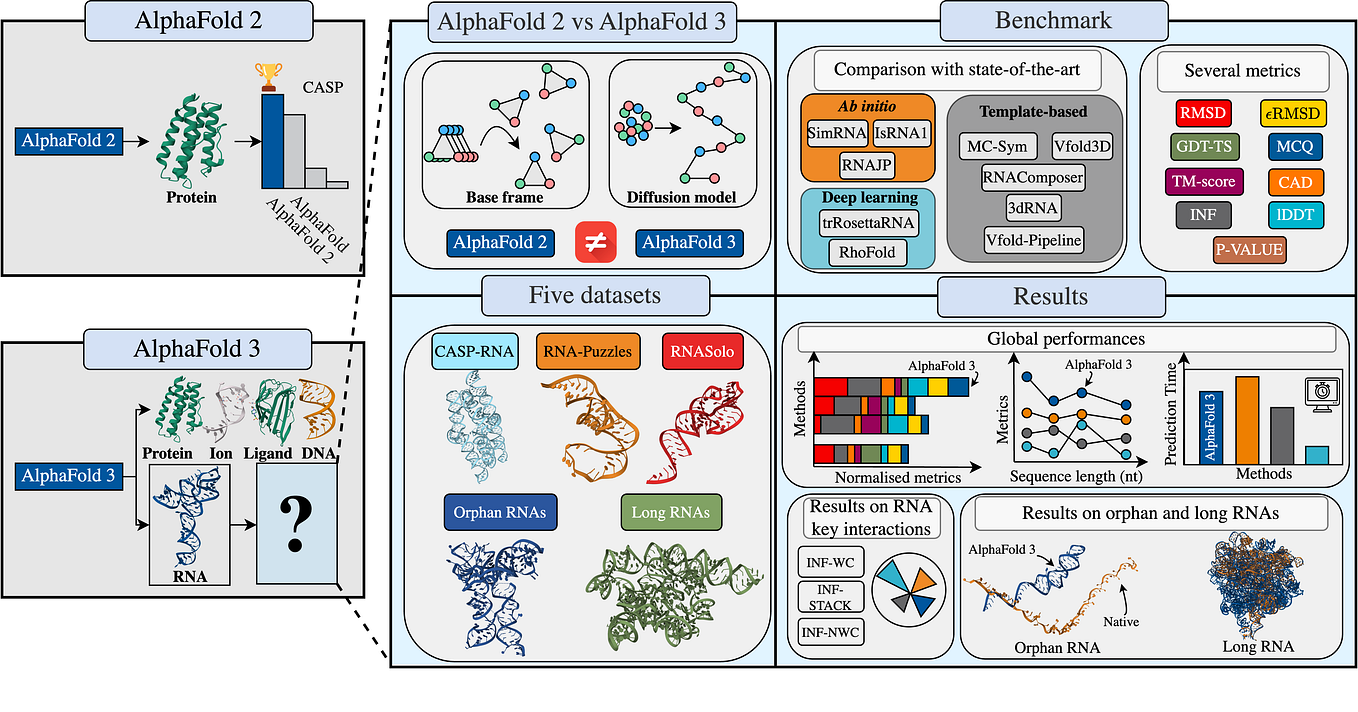RNA 3D structure: Reading and writing PDB files with BioPython and Plotly | by Clement Bernard ...
