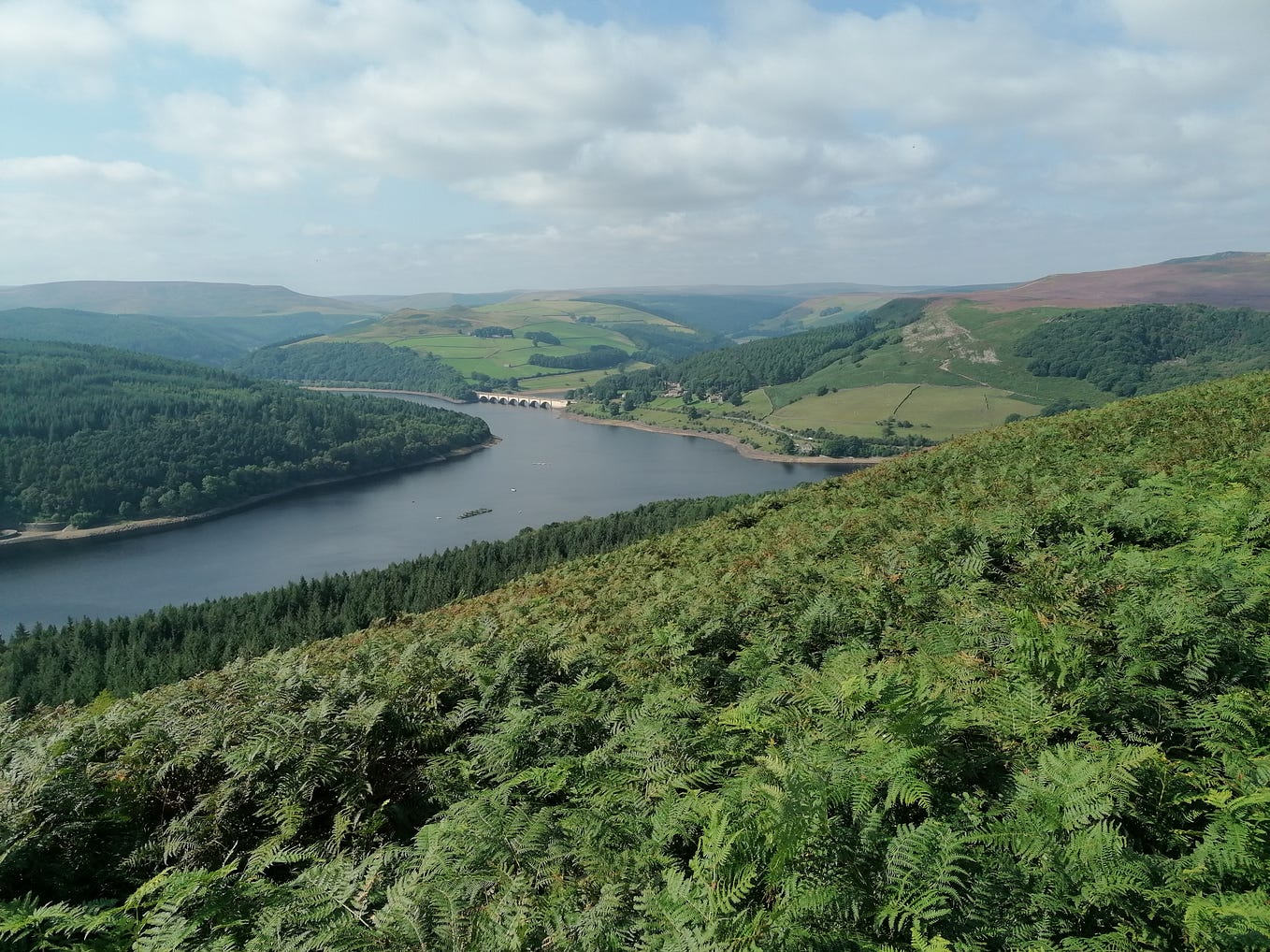 Rapid Angular Reactive Form Component Development Based on a Schema — Part-1 | by Sukhminder ...