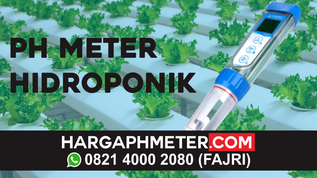 Ady Lab: Harga pH Meter Hanna HI9124 | Jual pH Meter Hanna Instruments | by Ady Water | Medium