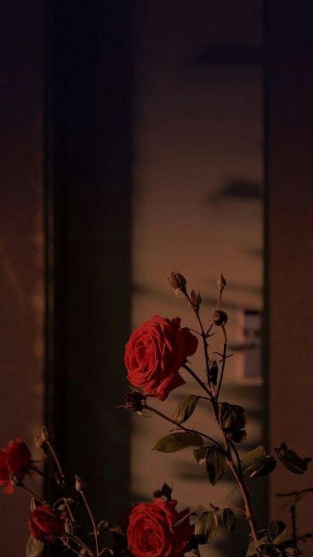 DAUGHTER CAME TO SAY GOODBYE TO HER MOTHER, SHE NOTICES SOMETHING ...