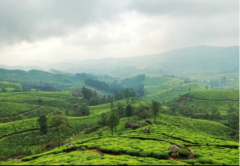 Hackerrank: Diagonal Difference | Easy | Java solution | by Archana K C ...