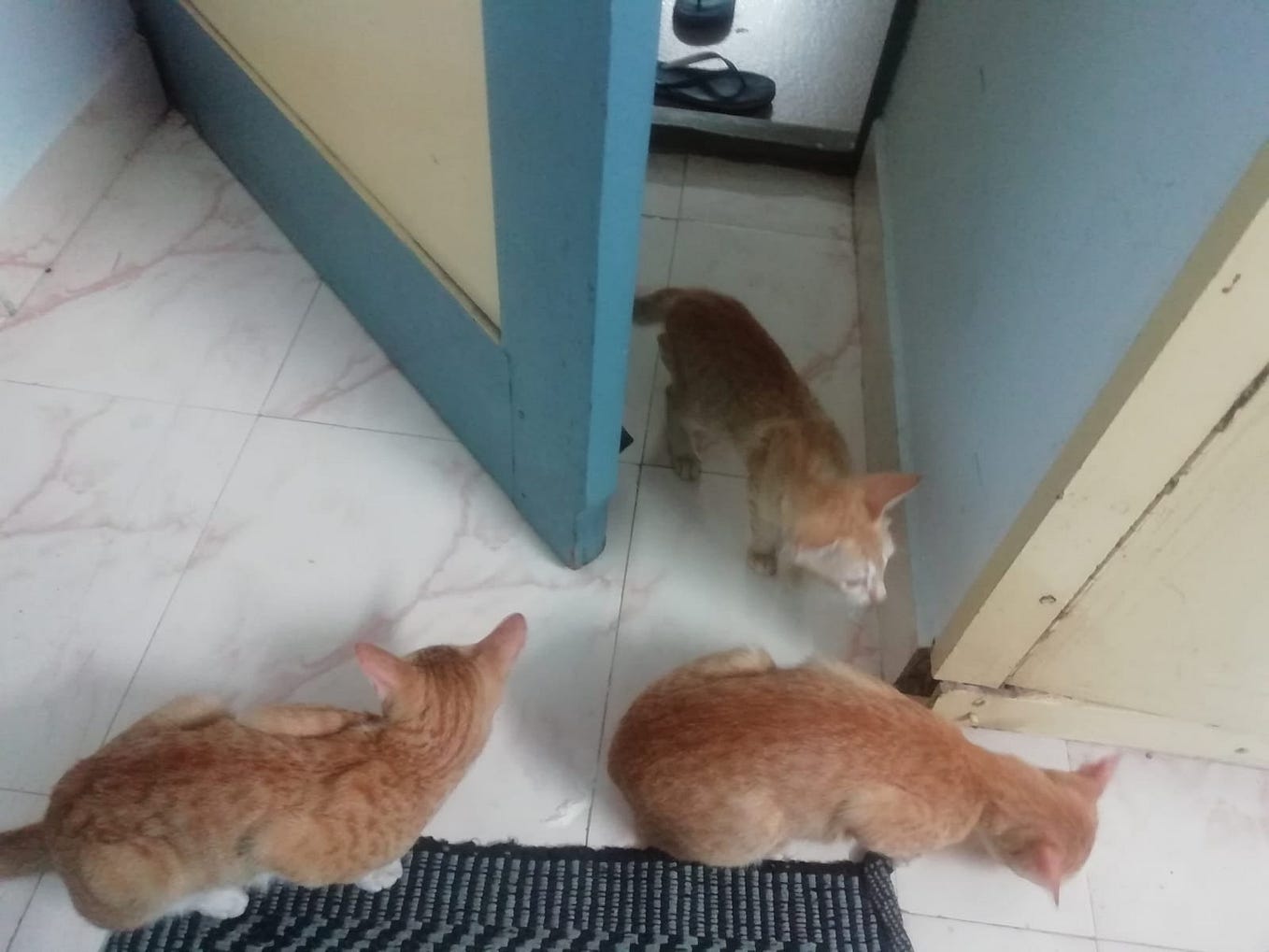 Finding the Duplicate Number using Floyd’s Tortoise and Hare Algorithm | by Simran Garg | Medium