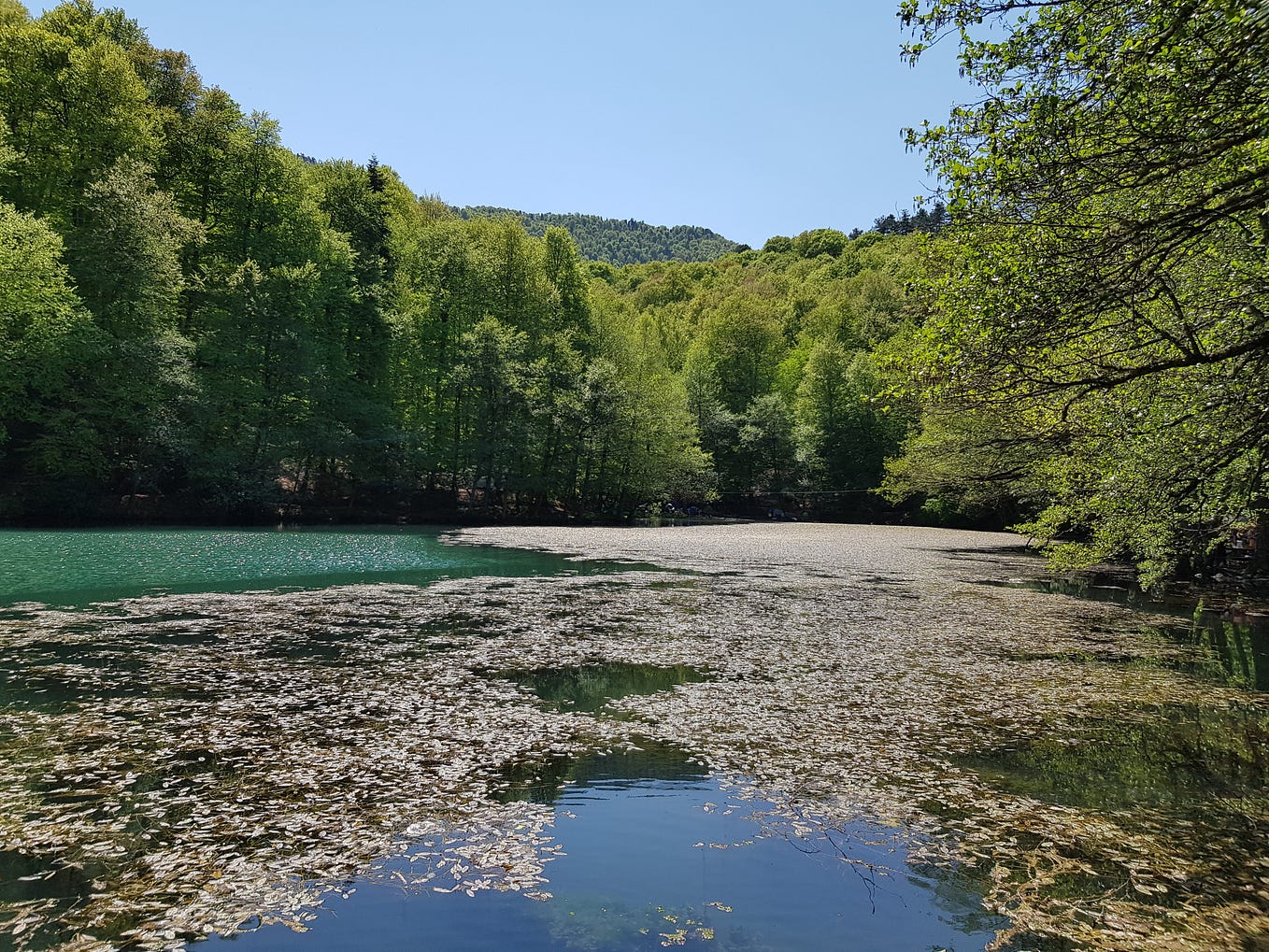 How to Dynamically Create and Manage RabbitMQ Queues via application ...