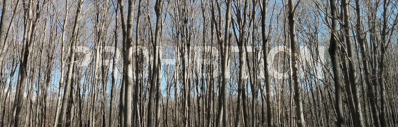 I will never smoke again.. Unless my government makes me. | by Ian Firth | Vaping Stories | Medium