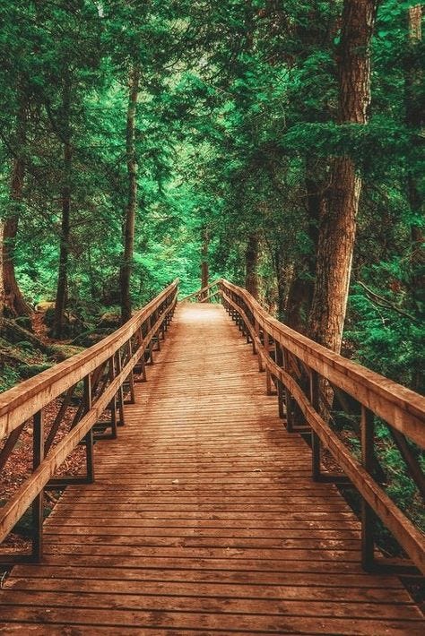 The Ultimate First Hike Outfit Guide: How to Choose the Right Gear | by ...