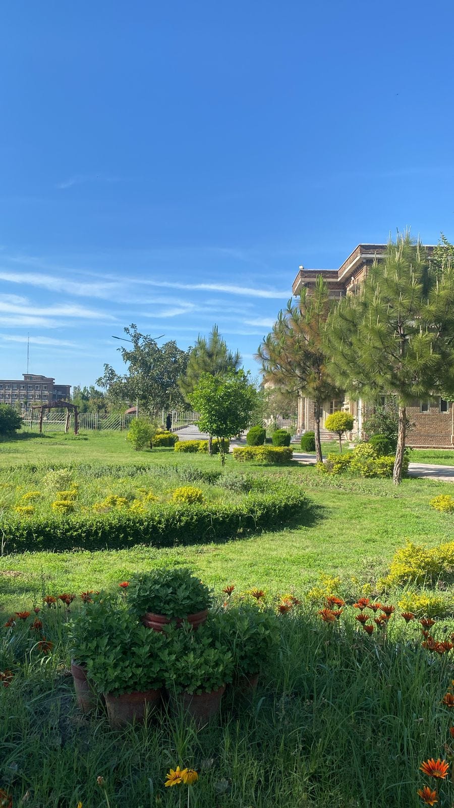 Conquering Procrastination with the Pomodoro Technique | by Hafsa Zaman | May, 2024 | Medium