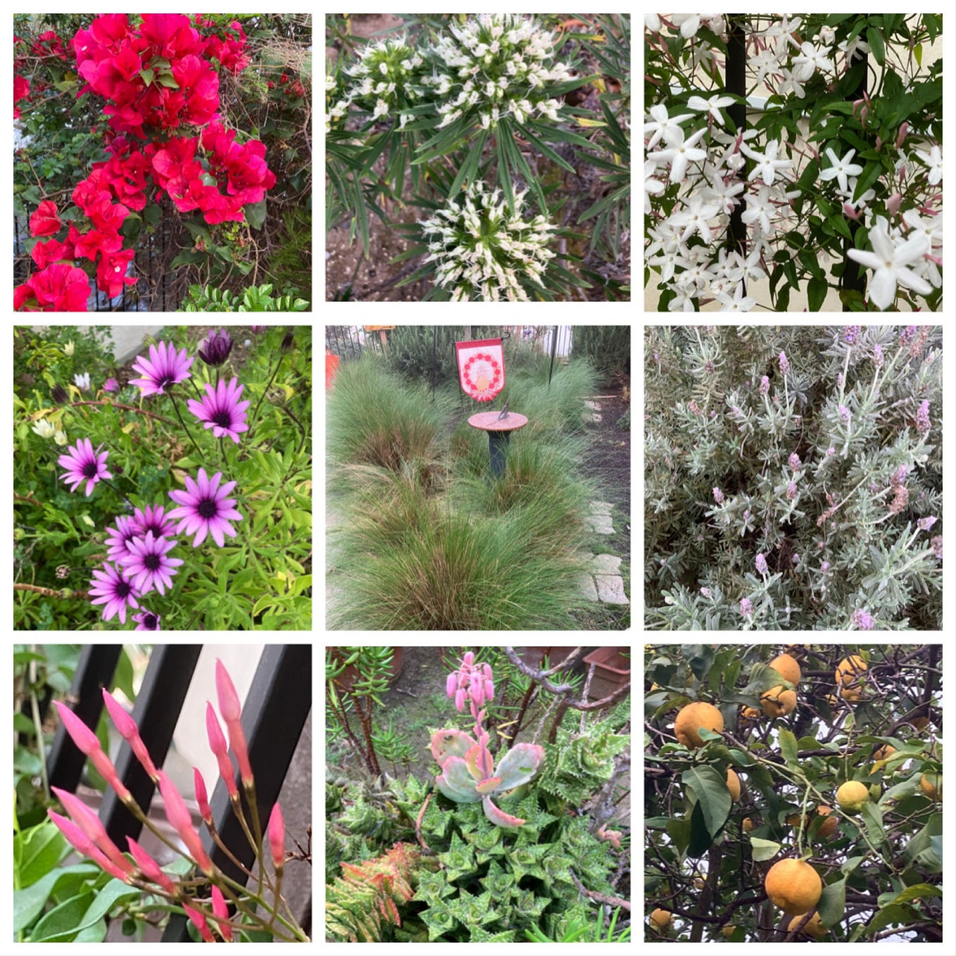 A Strong Contender for Worst Joke in The World for 2025 | by Glenn M ...