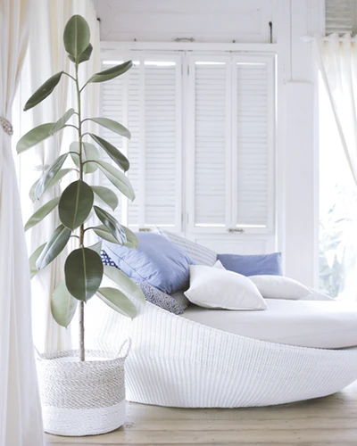 Create the Perfect Guest Room in 15 Minutes | by Fevicol Design Ideas ...